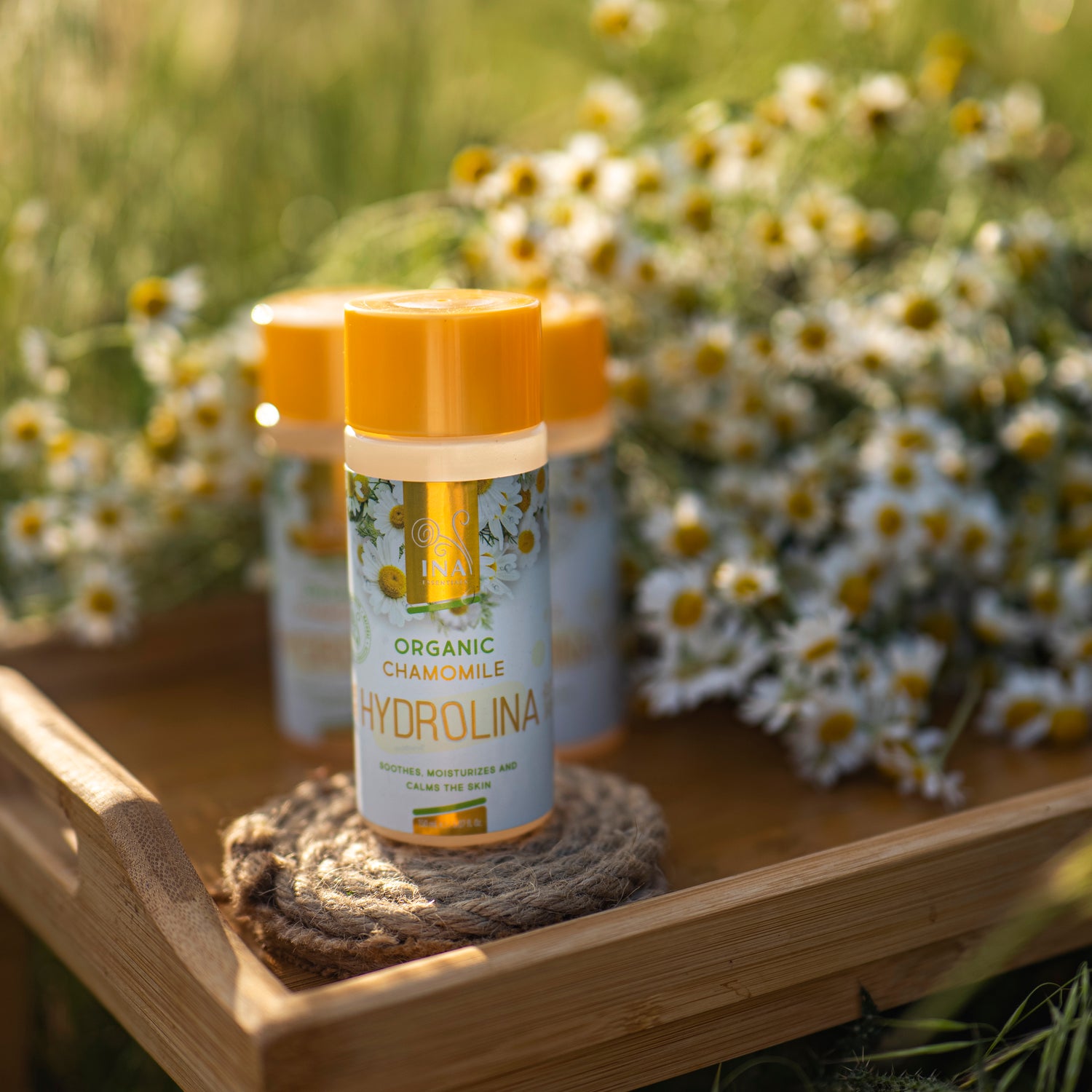Organic Chamomile Hydrolina | InaEssentials.US