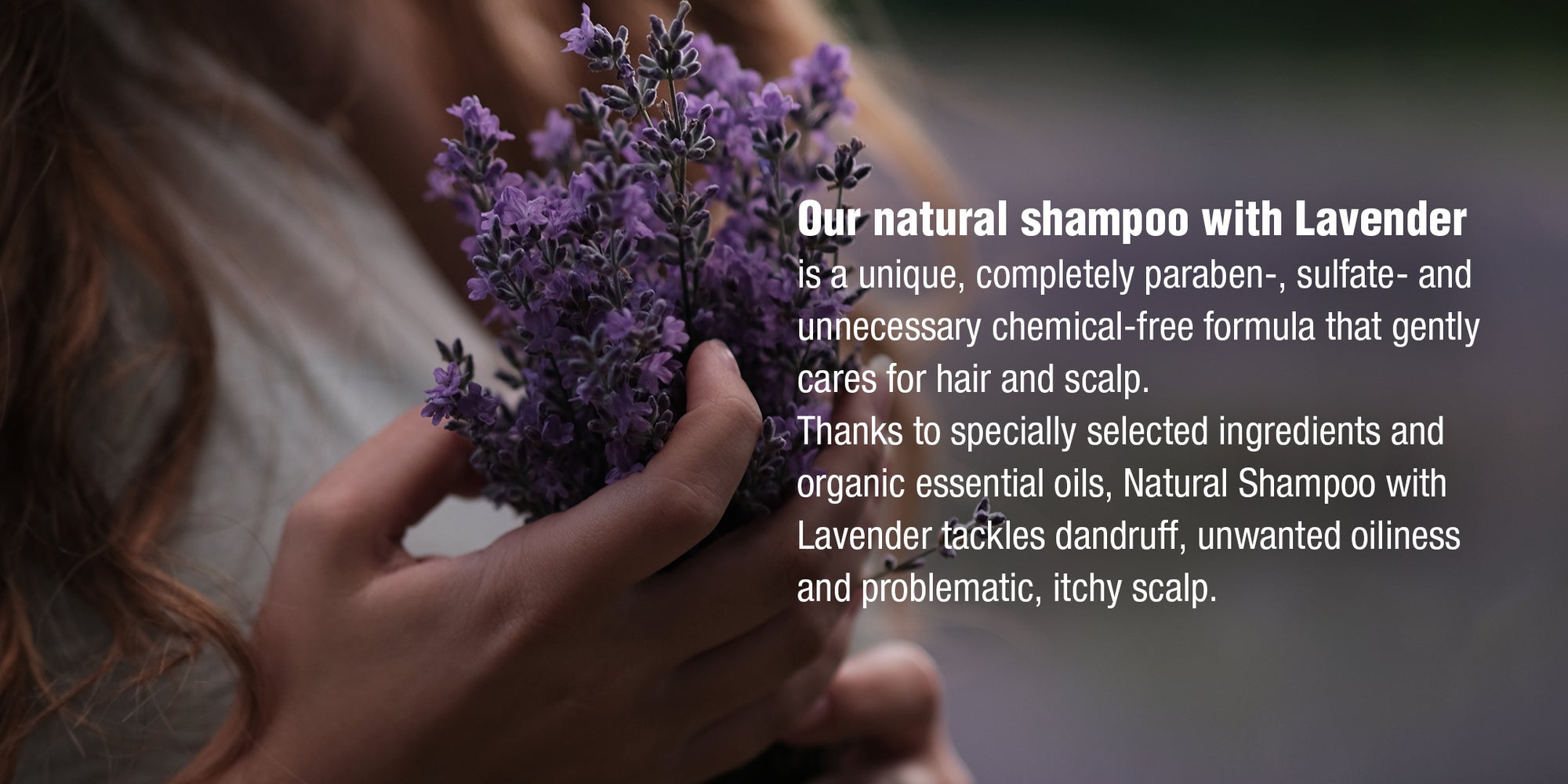 Natural Lavender Shampoo for Dandruff | InaEssentials.US