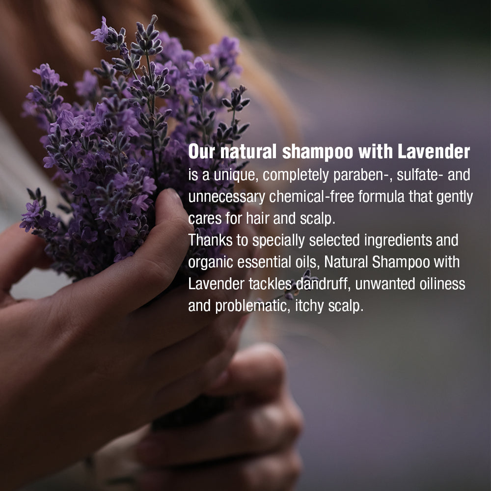 Natural Lavender Shampoo for Dandruff | InaEssentials.US